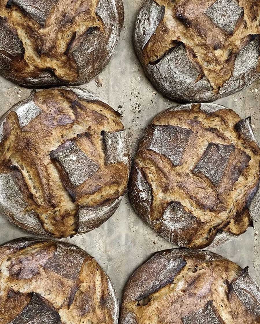 Rustic French Country, Round 630g | Wild Hearth Bakery