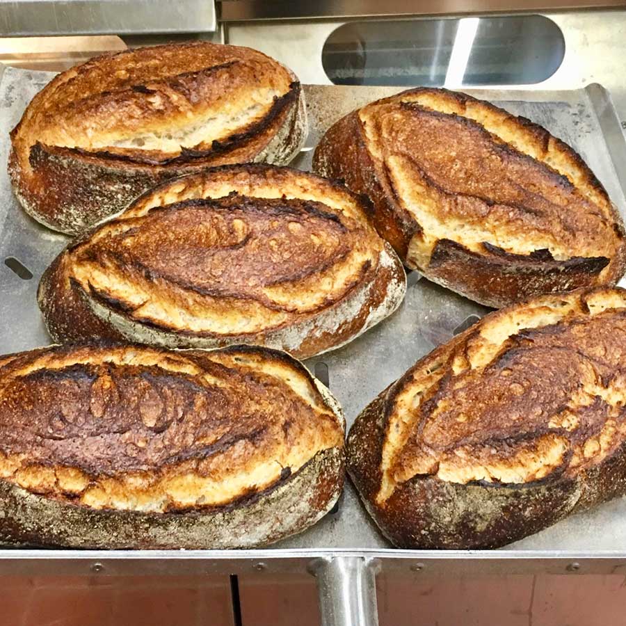 White Sourdough, Long 630g | Wild Hearth Bakery