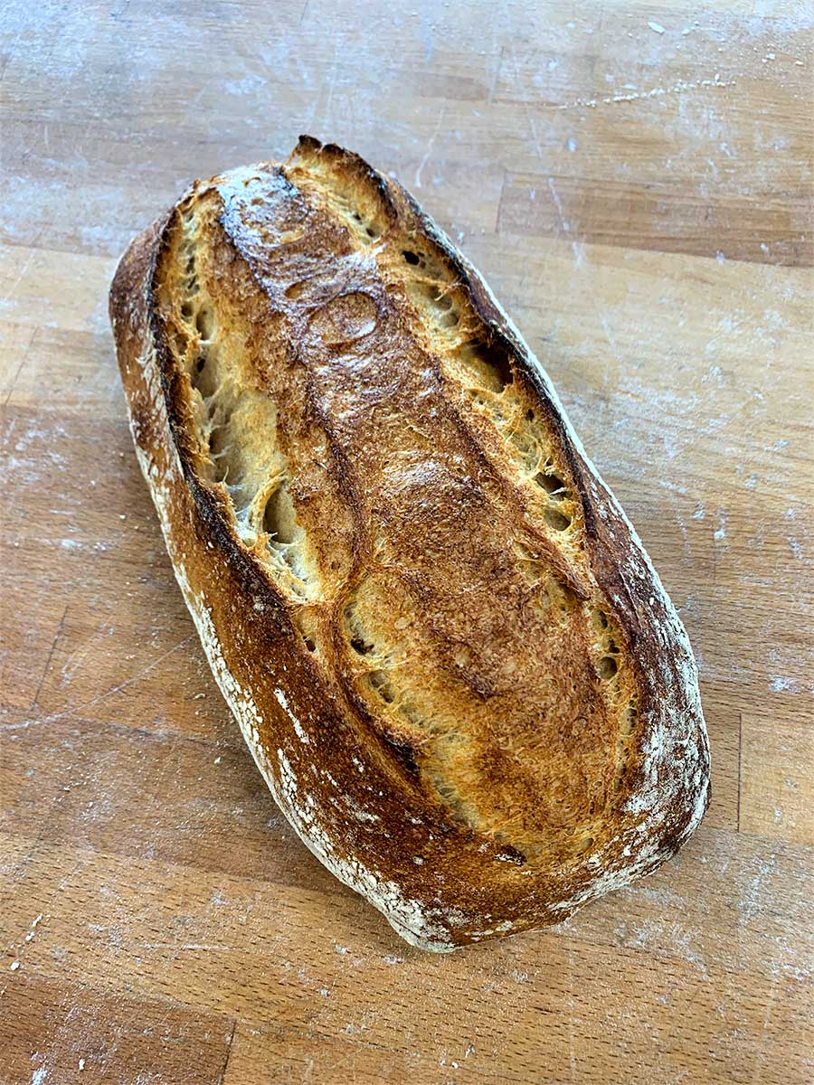White Sourdough, Long 630g | Wild Hearth Bakery